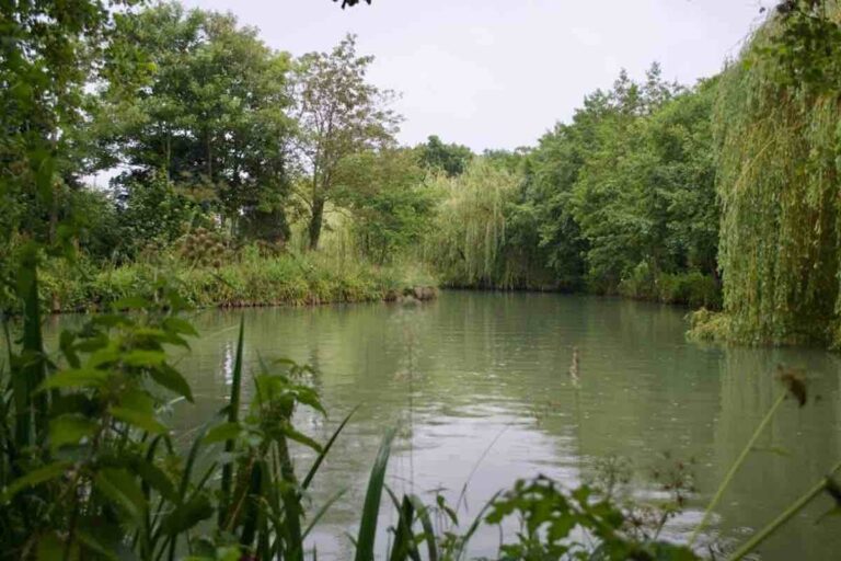 Dive Into Pool Bridge Farm – Wild Swimming Near York