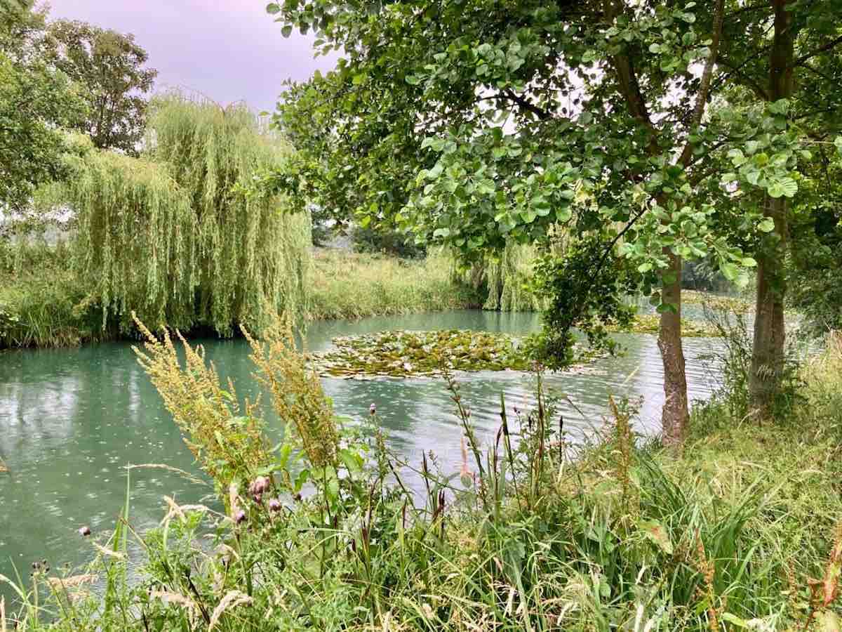 Dive Into Pool Bridge Farm – Wild Swimming Near York